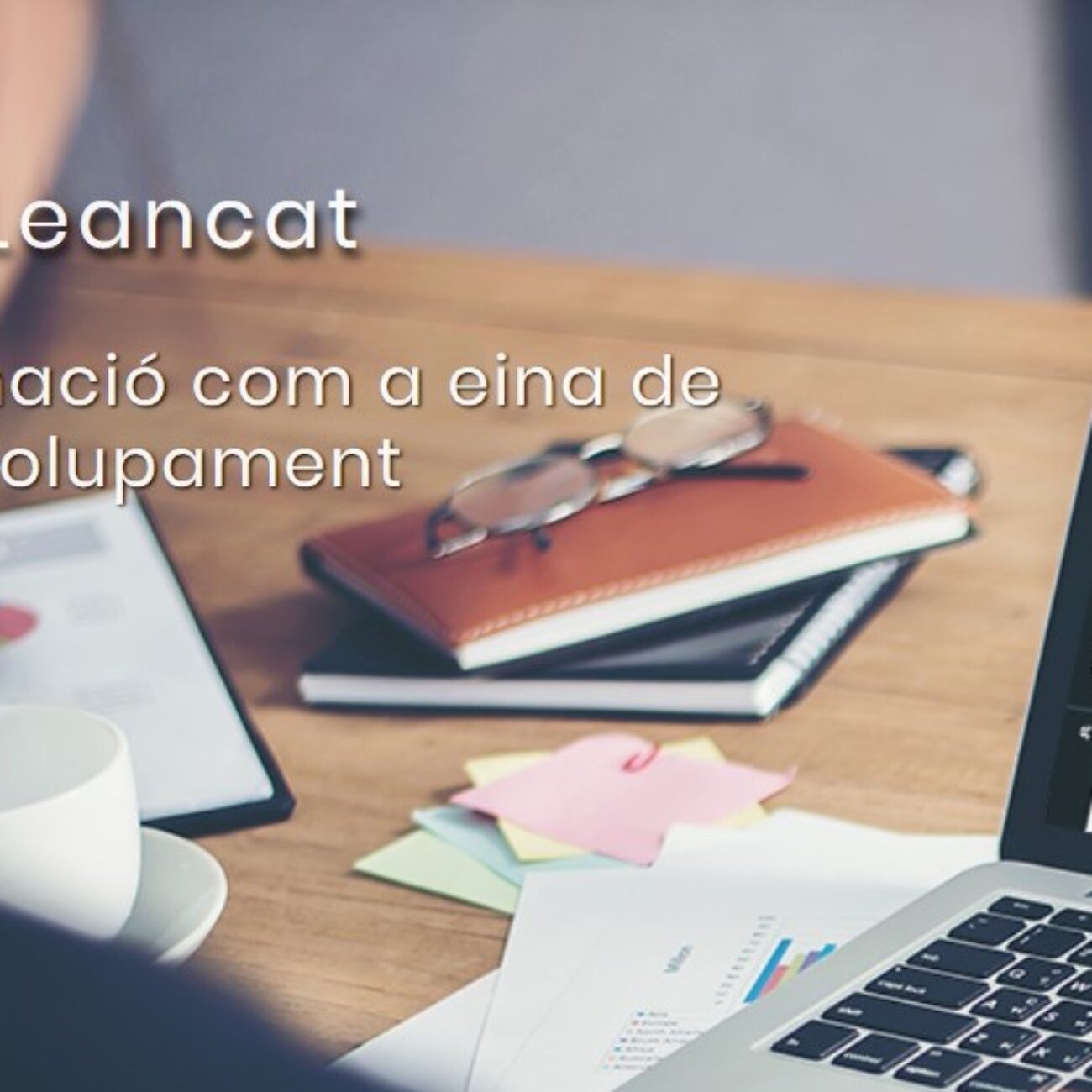 Lean Basics – Leancat